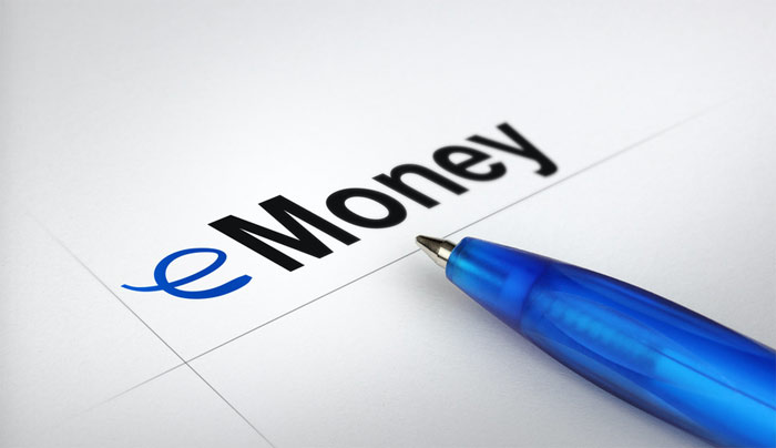 How to apply for a paid e money license - Bougainvillea Boutique